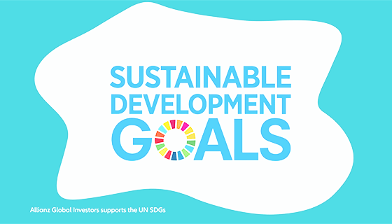 Sustainable Development Goals-aligned investment